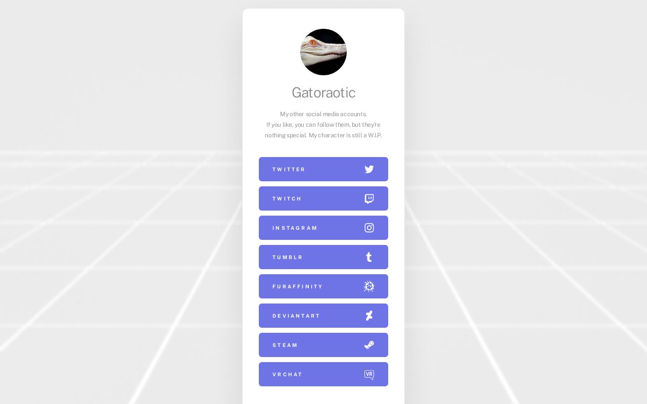 My other social media accounts